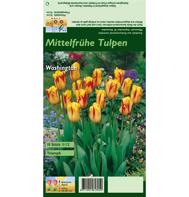 Tulpe 'Washington', Tulipa 'Washington' - 1A Garten Ammer