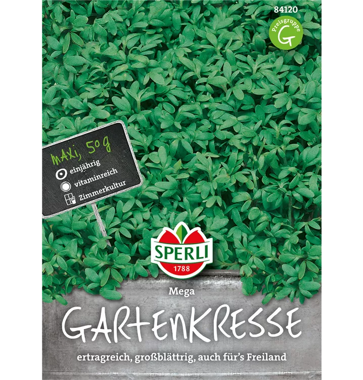 Großblättrige Gartenkresse 'Mega', Lepidium sativum 'Mega' - 1A Garten ...