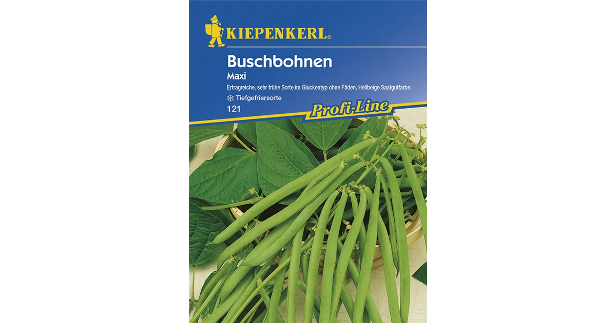 Buschbohnen Maxi, 1001420 - 1A Garten Ammer