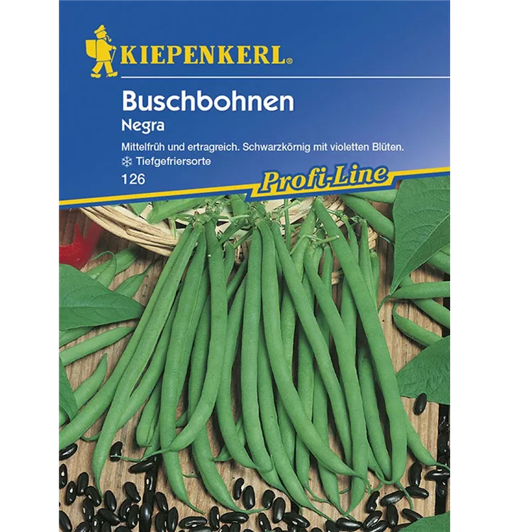 Buschbohnen Negra 1001750 1A Garten Ammer Buschbohnen Negra 1001750 1A Garten Ammer